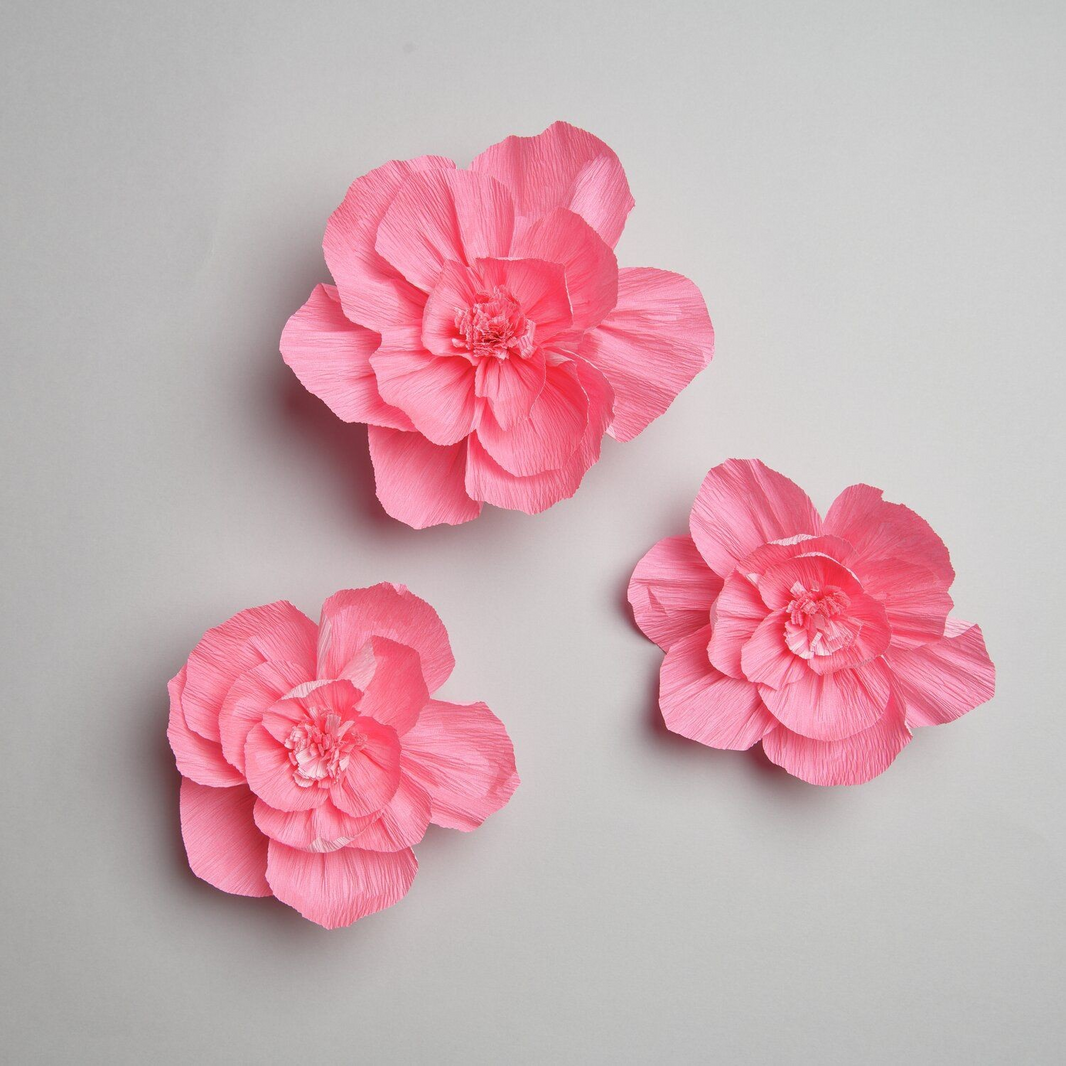 Eco Friendly Decorations | Biodegradable, Recyclable, Reusable Party ...