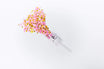 Confetti Push Popper – Pretty Little Party Shop